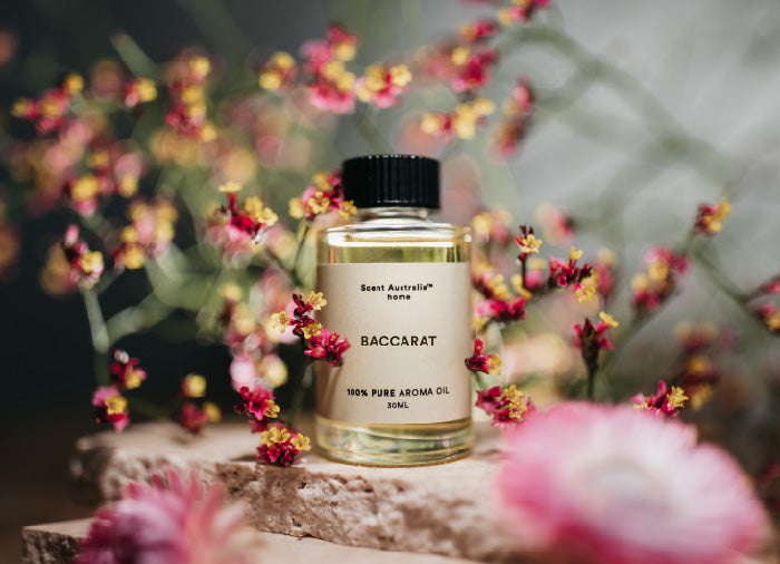 Recommended Products